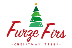 Furze Firs Christmas Trees