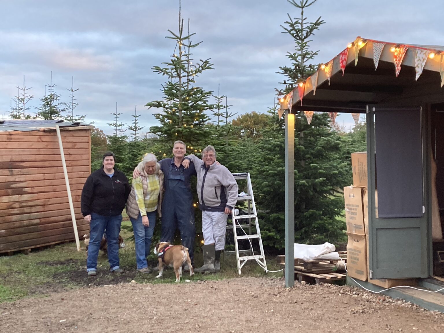 Furze Firs Christmas Trees