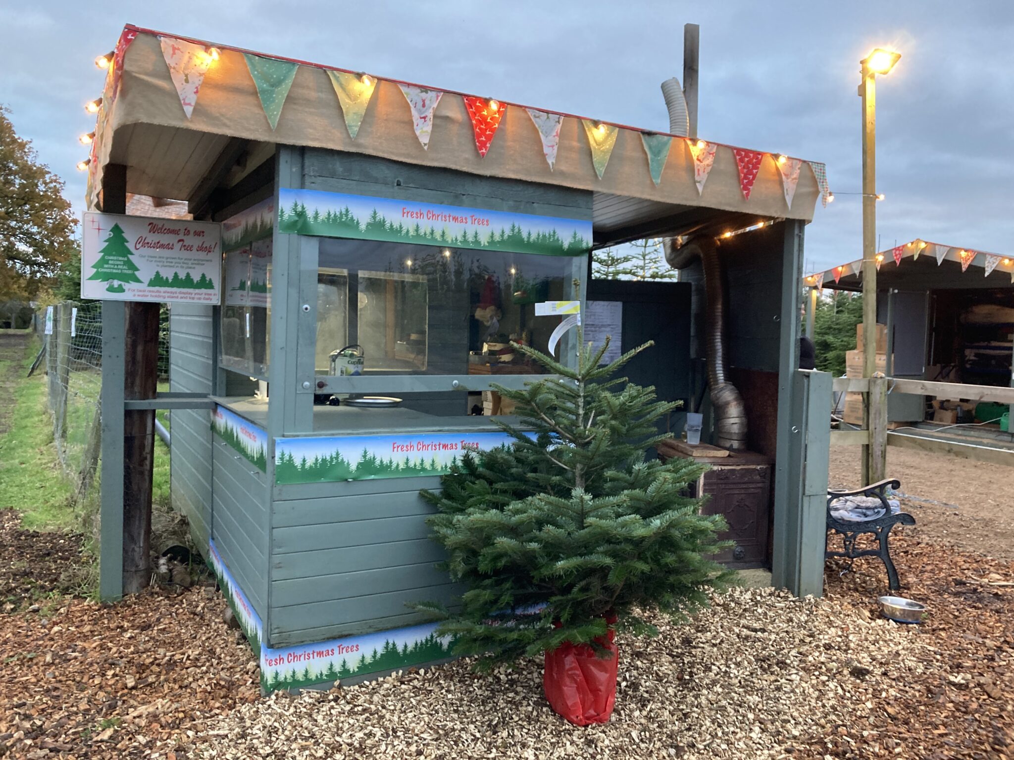 Furze Firs Christmas Trees