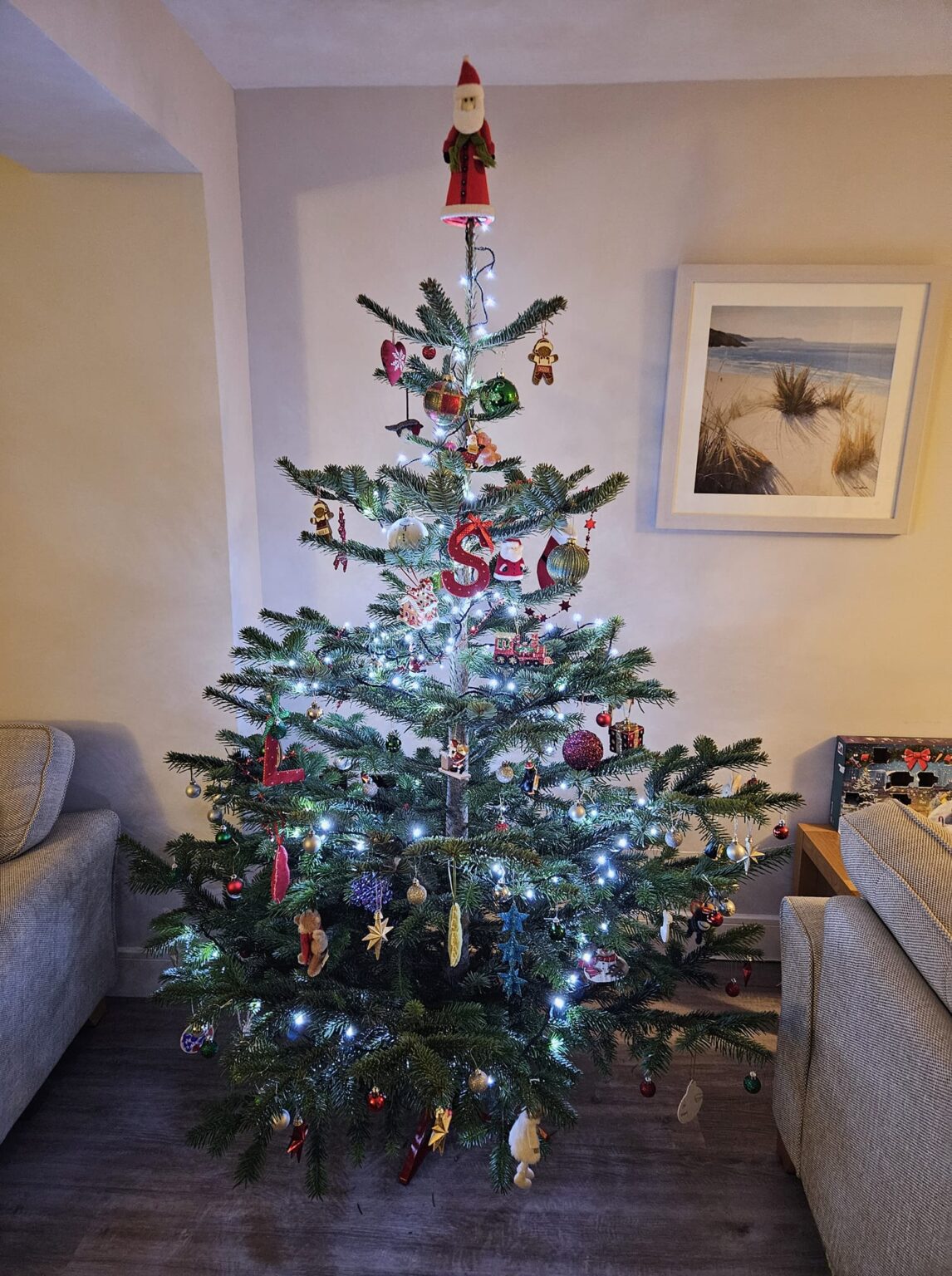 Furze Firs Christmas Trees